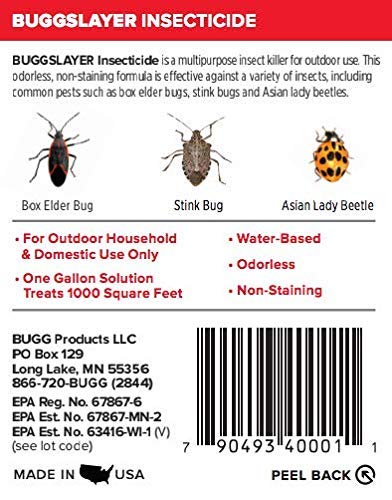 BUGGSLAYER Insecticide Concentrate 16-oz Kills Box Elder Bugs, Stink ...