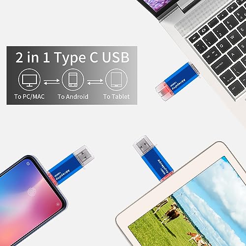 Memoria USB C 128GB, 2 en 1 OTG Tipo C Pendrive 128 Gigas USB 2.0 Flash ...