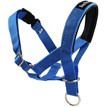 Amazon.com : Cesar Millan Blue Dog Collar for Large Dogs, Pack Leader ...