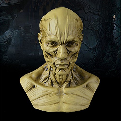 Buy Tinsay 10cm Human Model Anatomy Skull Head Muscle Medical Drawing ...