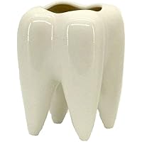 Amazon.com : Easyinsmile Teeth Shaped Molar Vase White Ceramic ...