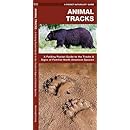 Animal Tracks: A Folding Pocket Guide to the Tracks & Signs of Familiar ...