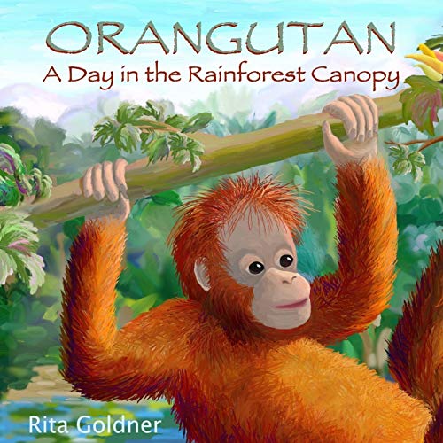 Orangutan: A Day in the Rainforest Canopy: Goldner, Rita, Goldner, Rita ...