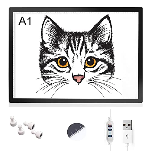 Light Boxes Kuwait | Buy Online | Whizz Others