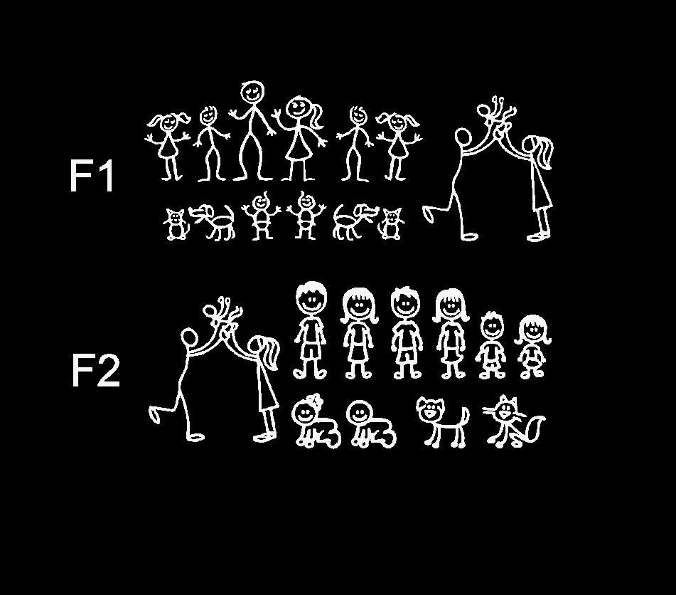 Family Decals Die Cut Vinyl Sticker Fam Bumper Car Window Slaps Family ...