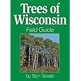 Trees of Wisconsin Field Guide (Tree Identification Guides): Tekiela ...