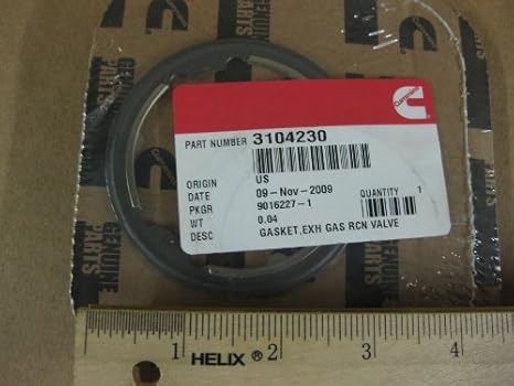 Cummins 3104230 Engine EGR Valve Gasket, Exhaust System - Amazon Canada