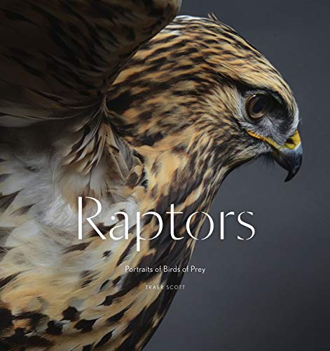 Amazon.com: Raptors: Portraits of Birds of Prey (Bird Photography Book ...