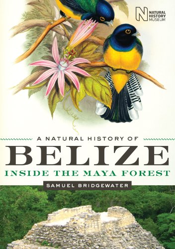 A Natural History of Belize: Inside the Maya Forest (Corrie Herring ...