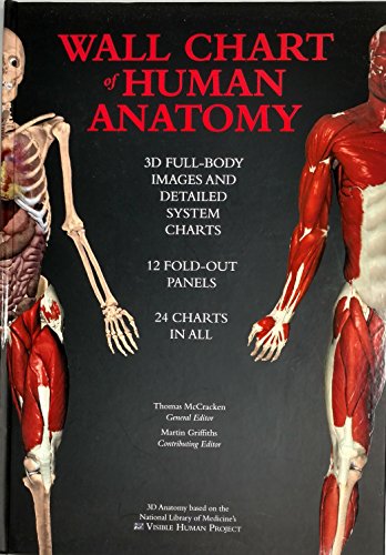 Wall Chart Of Human Anatomy 3d Dull body Images And Detailed System Wall Chart Of Human Anatomy 3d Dull body Images And Detailed System