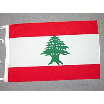 Amazon.com : Lebanon Flag 3 x 5 NEW Lebanese 3x5 National Banner ...