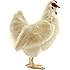 Plush Soft Toy Beige Hen 40cmH: Amazon.co.uk: Toys & Games