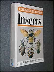 A Field Guide to Insects of America North of Mexico (Peterson Field ...