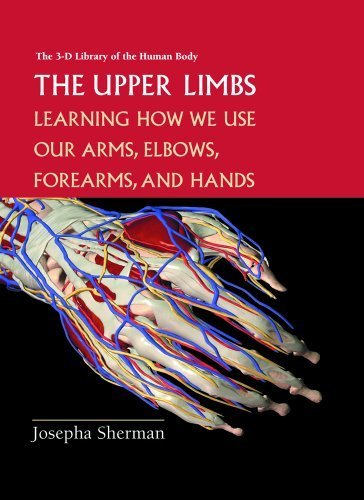 The Upper Limbs: Learning How We Use Our Arms, Elbows, Forearms, and ...