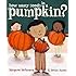 Sixteen Runaway Pumpkins: Dianne Ochiltree, Anne-Sophie Lanquetin ...