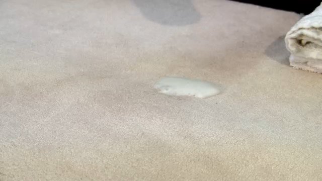Watch How to Quickly Remove Beer Stains From Carpet on Amazon Live
