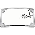 Amazon.com: Custom Dynamics LED License Plate Frame (Chrome) : Automotive
