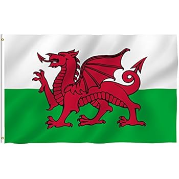 Amazon.com : Wales Flag 3 x 5 Brand NEW 3x5 Welsh Dragon Flag : Outdoor ...