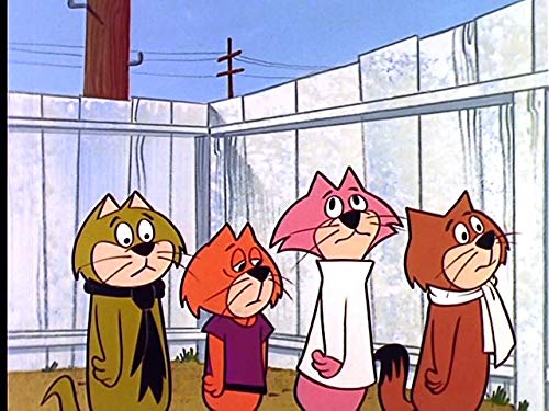 Watch Top Cat: The Complete Series | Prime Video