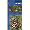 Trees: A Folding Pocket Guide to Familiar North American Plants ...