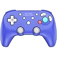Amazon.com: Retro Fighters BladeGC Wireless Controller Next-Gen ...