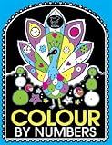 Colour by Numbers Book: Amazon.co.uk: Fiona Watt, Erica Harrison ...