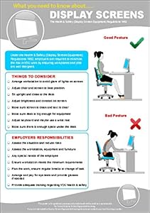 Health and Safety Display Screen Equipment Regulations Poster 420x595mm ...