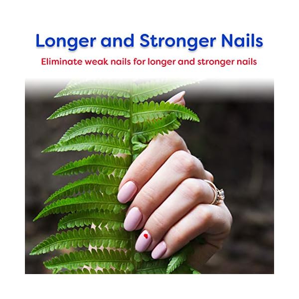 Wellgenix Purvana MAX Hair Skin and Nails Supplement – 5000mcg Biotin ...