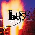 Bush - Razorblade Suitcase - Amazon.com Music