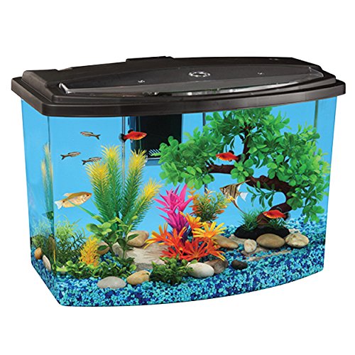 Tetra 20-Gallon LED Glass Aquarium Starter Kit with Filter, Heater ...