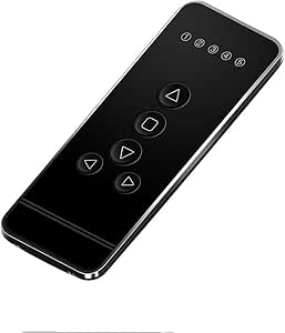 Amazon.com: Rollerhouse 5 Channel Transmitter RF 433.92 Remote ...