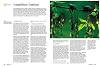 Amphibians: The World of Frogs, Toads, Salamanders and Newts in Oman ...