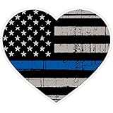 Amazon.com: CustomDecal US Michigan State (V23) Thin Blue Line Vinyl ...