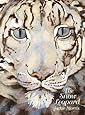 The Ice Bear: Amazon.co.uk: Jackie Morris: Books