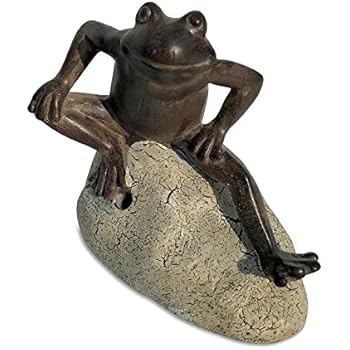 Amazon.com : Esschert Design Warning Frog : Garden & Outdoor
