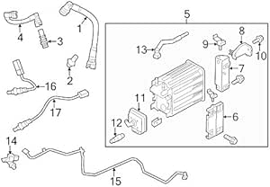 Amazon.com: Ford BL3Z-6A664-A Genuine Hose - Vent : Automotive