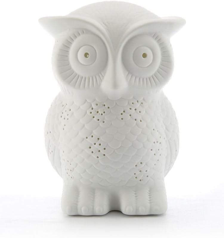 Welink Light-Glow Electric Table Bedside Lamp Owl Design – BigaMart