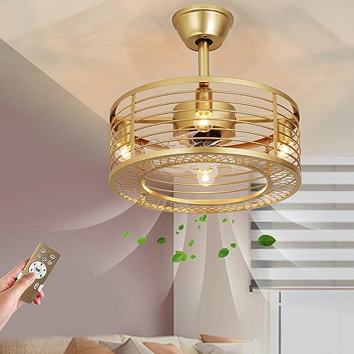 Gold Caged Ceiling Fans with Lights and Remote Control 6-Speed ...