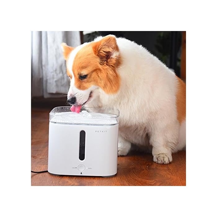 Home | Simply Smart 123