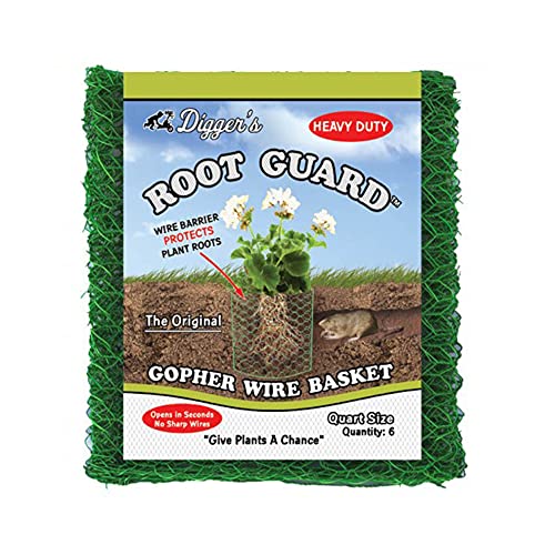 DIGGERS Mini Digger’s 1-Quart Heavy-Duty Wire Baskets for Plants ...