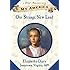 My America: Our Strange New Land: Elizabeth's Jamestown Colony Diary ...
