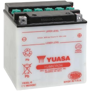 Amazon.com: Caltric Agm Battery for Polaris 4010595 4014609 4011224 ...