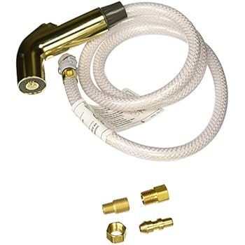Delta Faucet RP28900PB Spray and Hose Assembly, Polished Brass ...