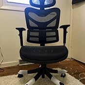 Amazon.com: Ergonomic Mesh Office Chair - SIEGES Adjustable Headrest ...