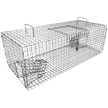 Amazon.com : Tomahawk Double Door Rigid Live Starling Trap : Home Pest ...