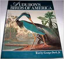 Amazon.com: Audubons Birds of America (9780884860099): Dock, George: Books