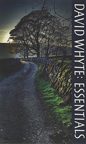 David Whyte: Essentials: David Whyte: 9781932887501: Amazon.com: Books