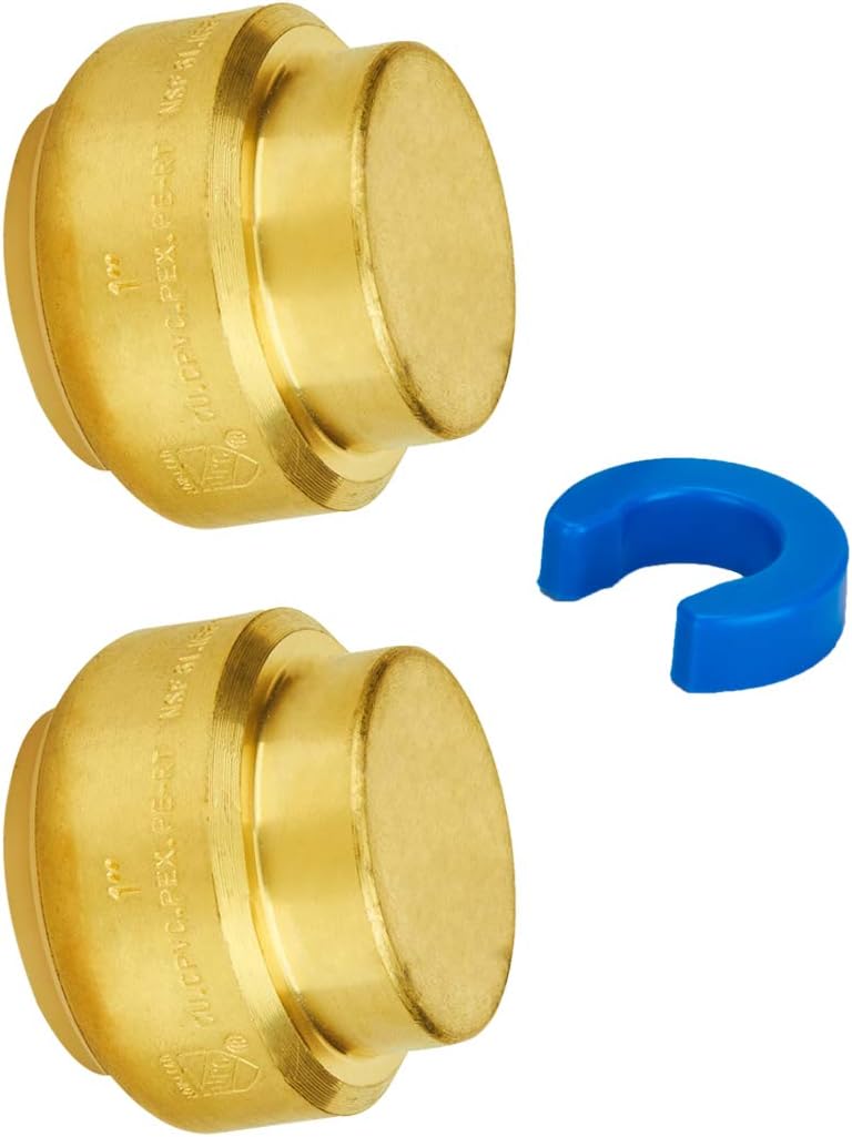 SUNGATOR 1-Inch Push Fit PEX End Cap, Push-to-Connect, Lead Free Brass ...