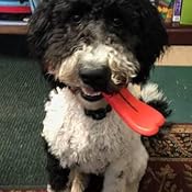 Pet Supplies : Pet Squeak Toys : Moody Pet Humunga Junior Tongue Toy ...