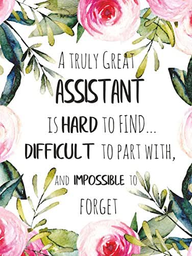 Amazon.com: A truly great assistant is hard to find UNFRAMED POSTER A3 ...